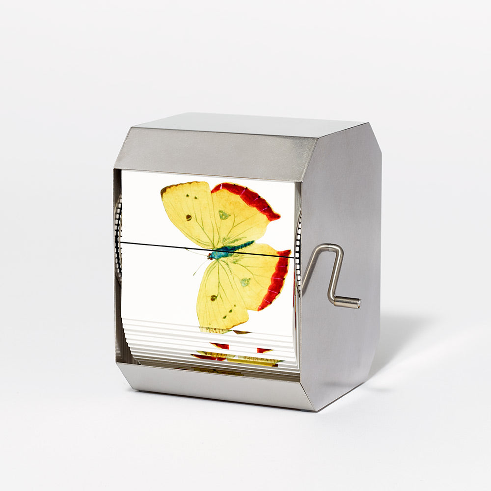 Butterfly Flipbook Machine by J. C. Fontanive – New Museum Store