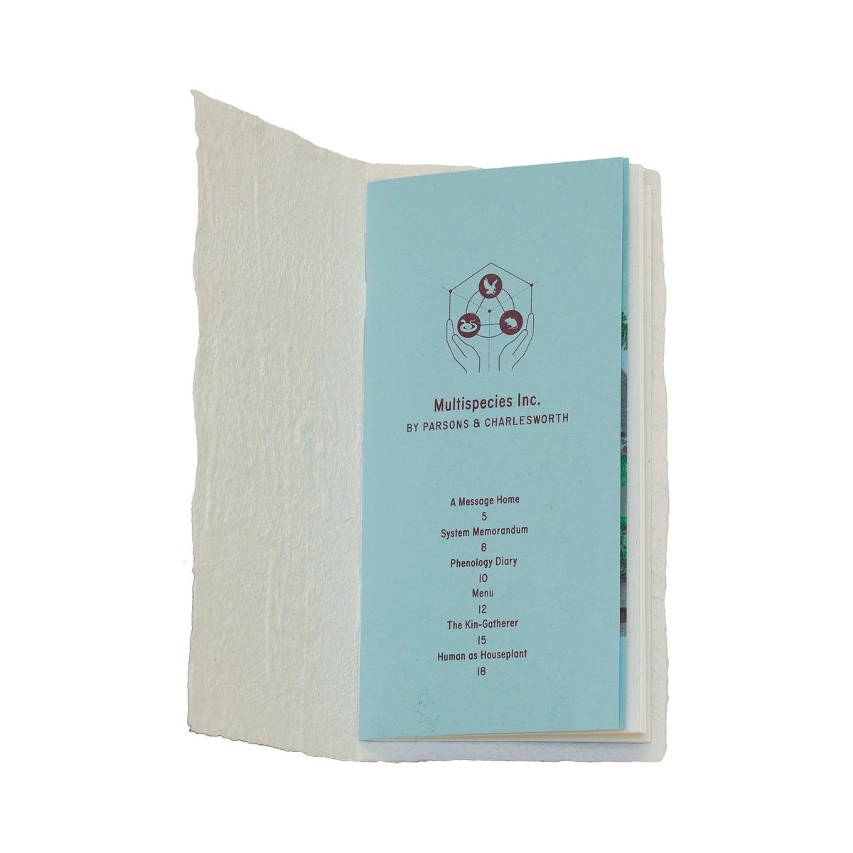 Multispecies Inc: Volume 1 (signed book) – New Museum Store